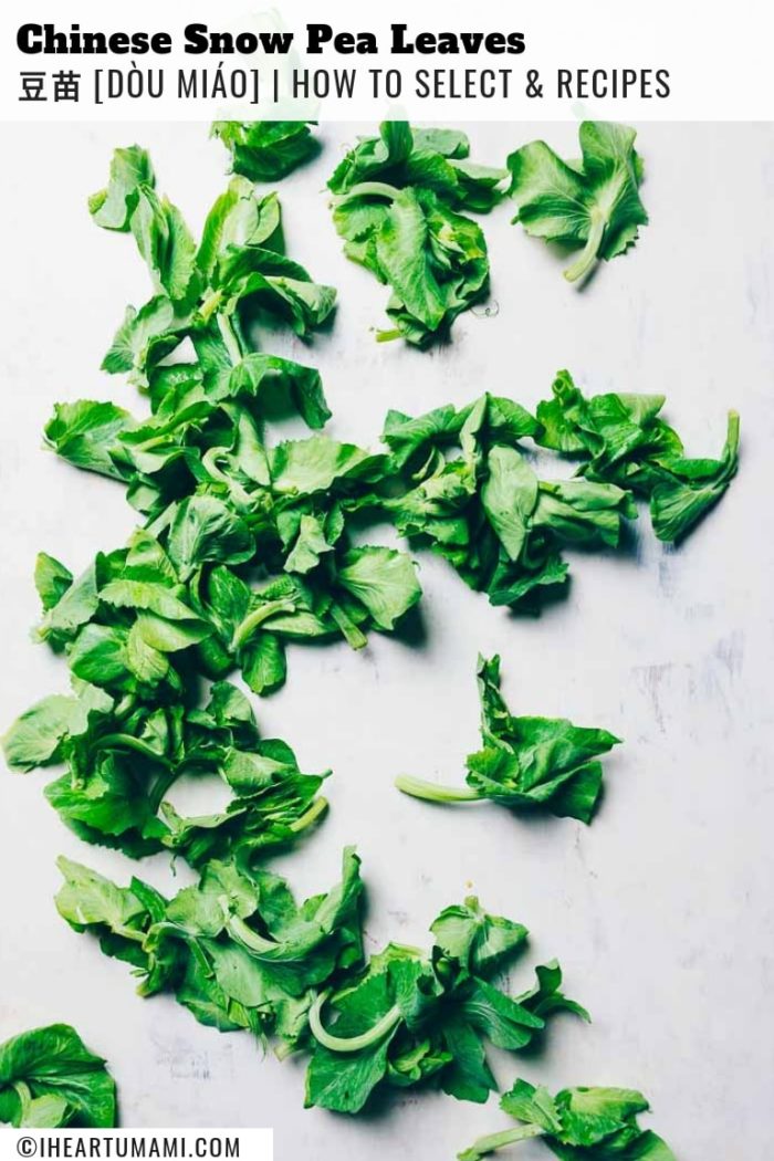 Snow Pea Leaves Stir-Fry (Paleo, Whole30, Keto, Vegan) | I Heart Umami®