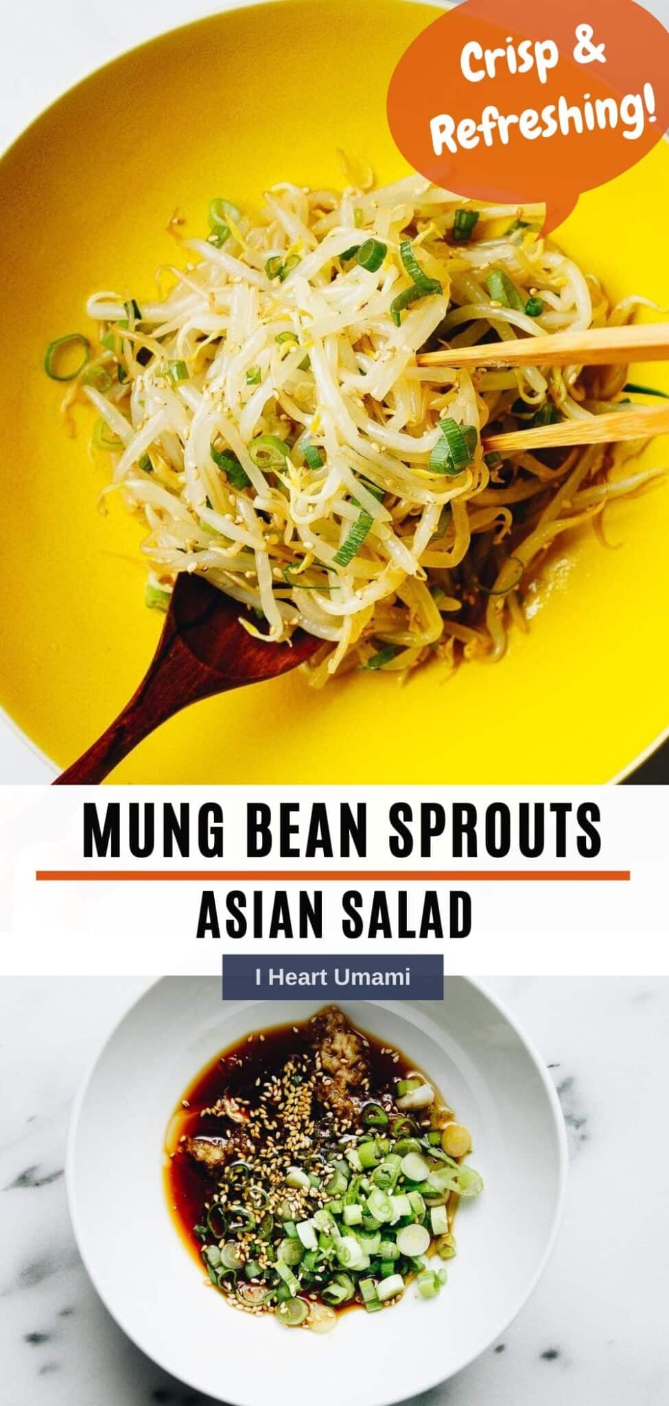Korean Mung Bean Sprouts Salad Recipe | I Heart Umami®