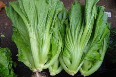 Chinese Vegetables (Asian Leafy Greens) | I Heart Umami®