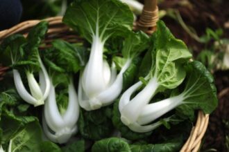 Chinese Vegetables (Asian Leafy Greens) | I Heart Umami®