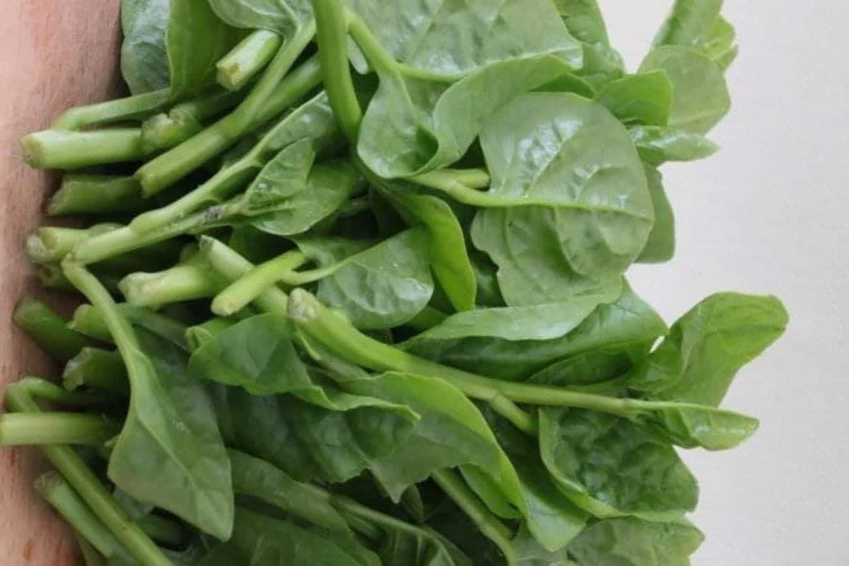 Chinese Vegetables Asian Leafy Greens I Heart Umami®