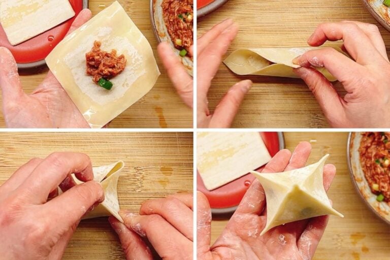 How To Fold Wontons (6 easy and fun ways) | I Heart Umami®