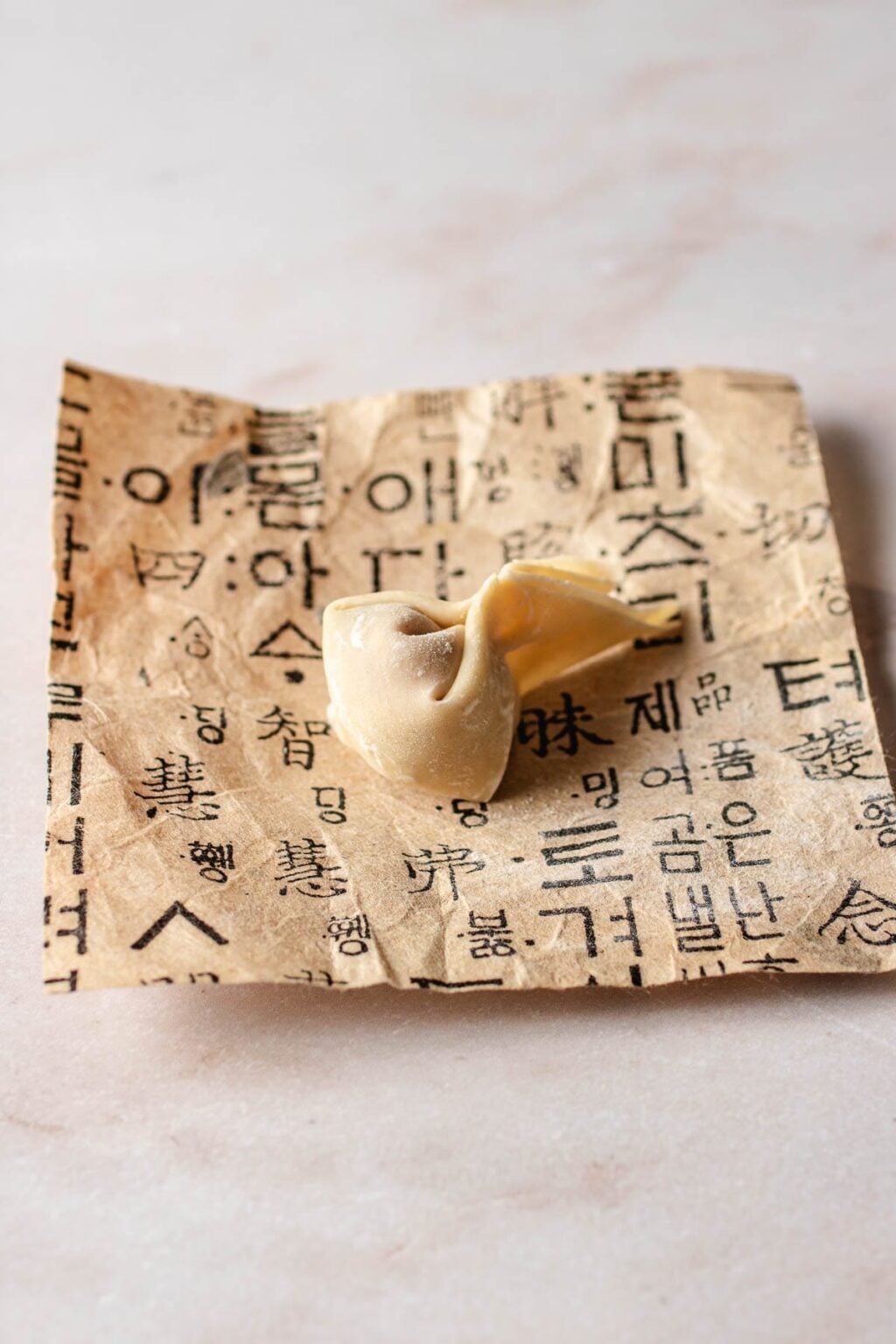 How To Fold Wontons (6 easy and fun ways) | I Heart Umami®