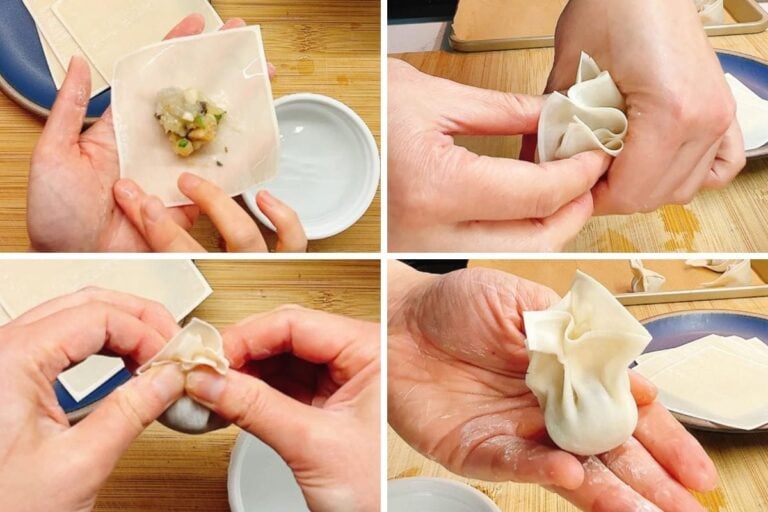 How To Fold Wontons (6 easy and fun ways) | I Heart Umami®