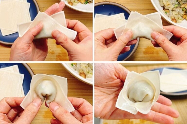How To Fold Wontons (6 easy and fun ways) | I Heart Umami®