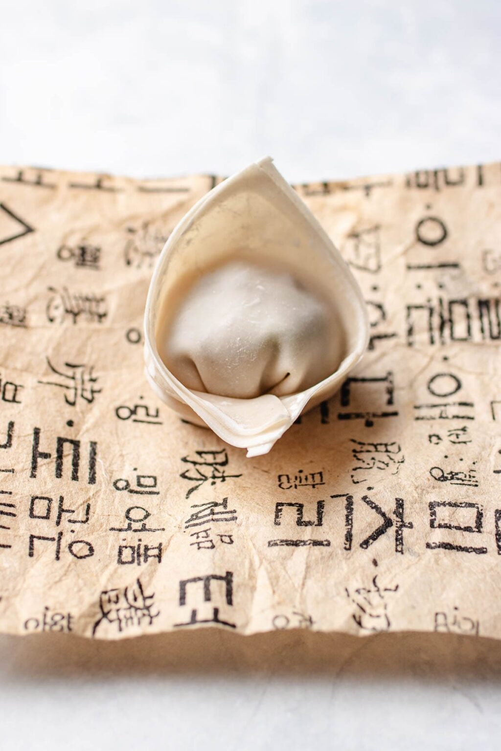 How To Fold Wontons (6 easy and fun ways) | I Heart Umami®