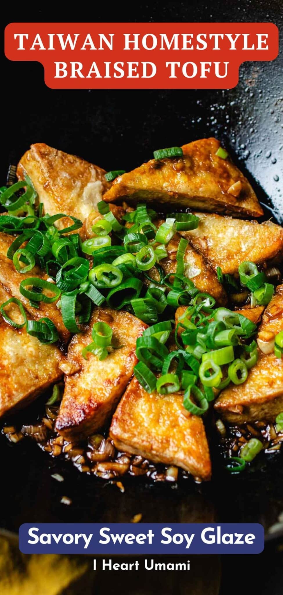 Braised Tofu (Taiwanese homestyle) | I Heart Umami®