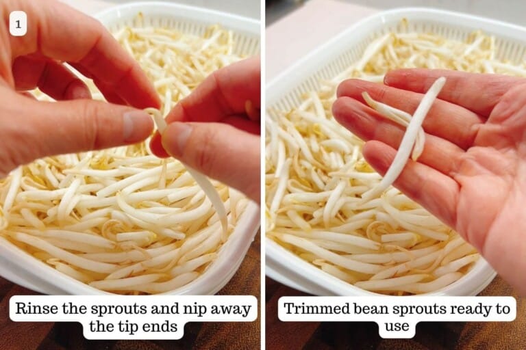 Stir Fry Bean Sprouts (A Taiwanese Homestyle Classic) | I Heart Umami®
