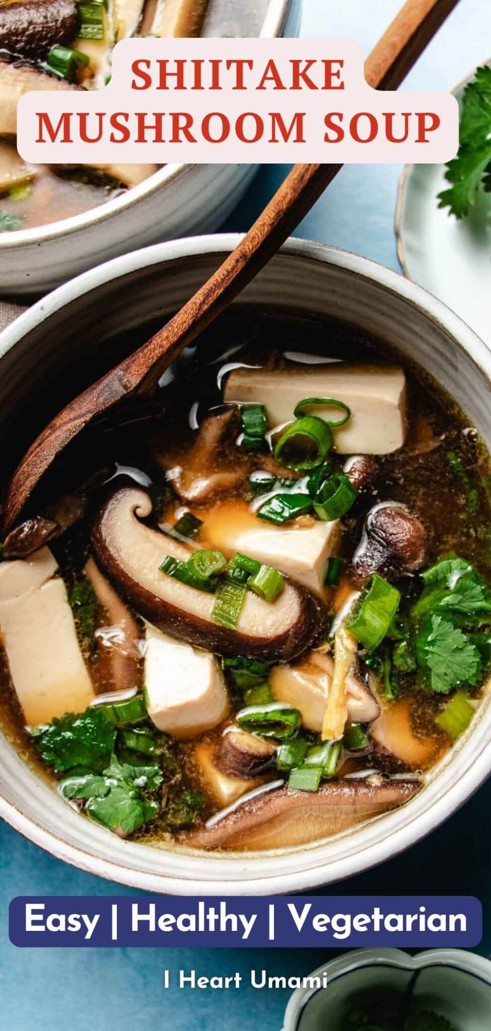 Shiitake Mushroom Soup With Tofu | I Heart Umami®