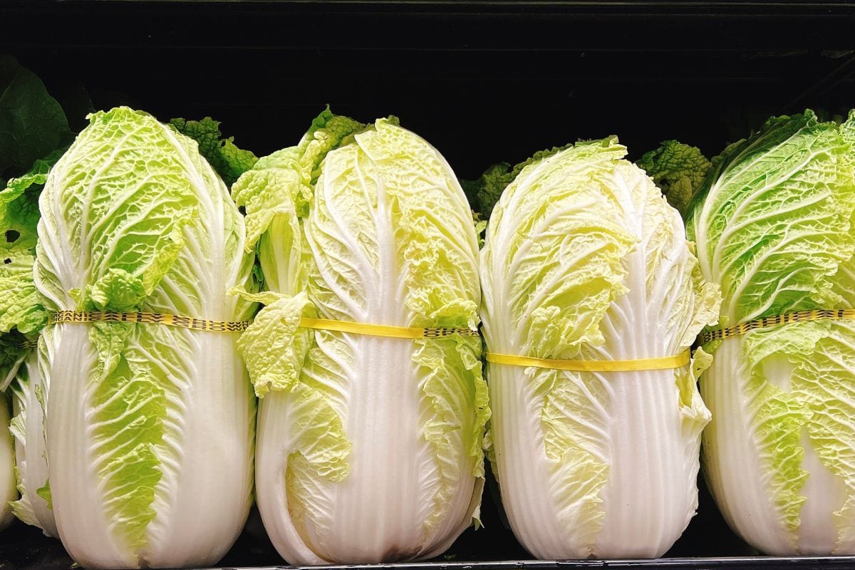 How to Cut Napa Cabbage: For stir-fries, soup, salads, and more | I ...